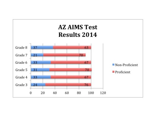 Arizona students have problems with national math standards