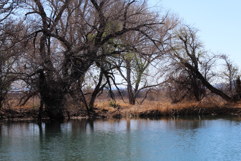 The uncharacteristic environment of the Rió Yaqui basin