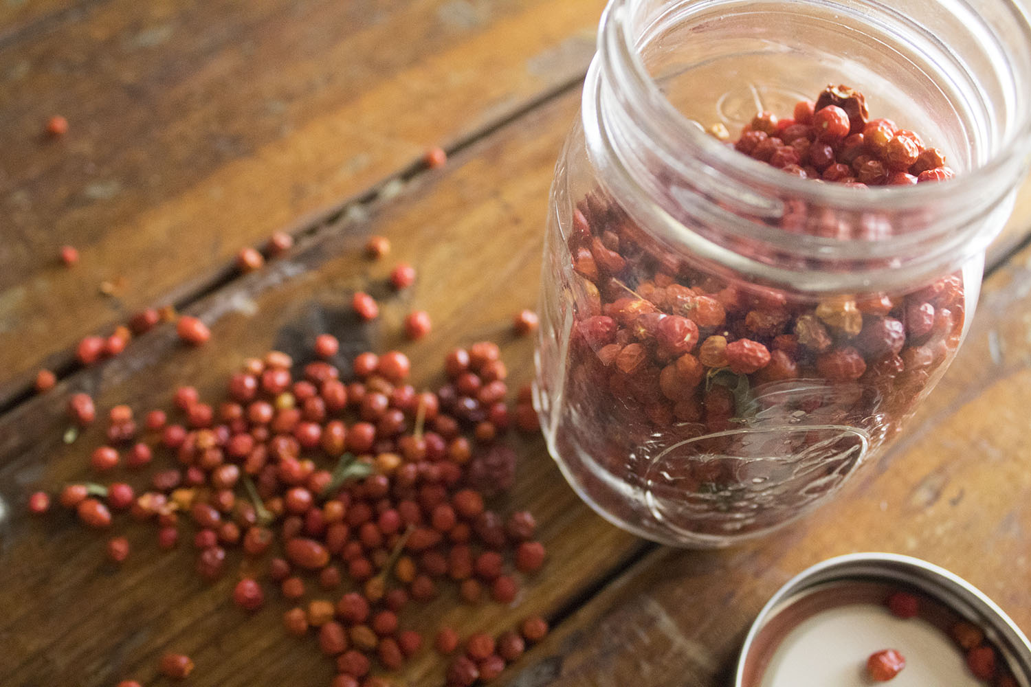 Native Chiltepine pepper in Southern Arizona