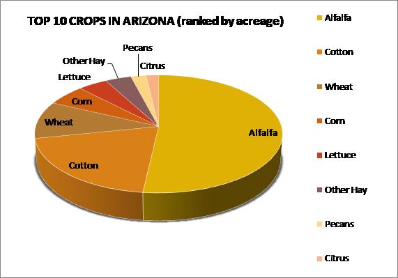 Boosting the pecanomy: Arizona pecan production peaks