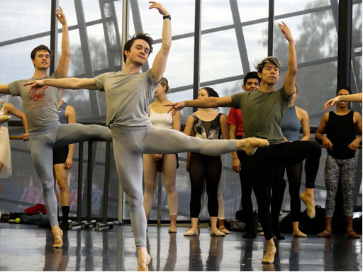 Aiming for corps de ballet is hard-core work